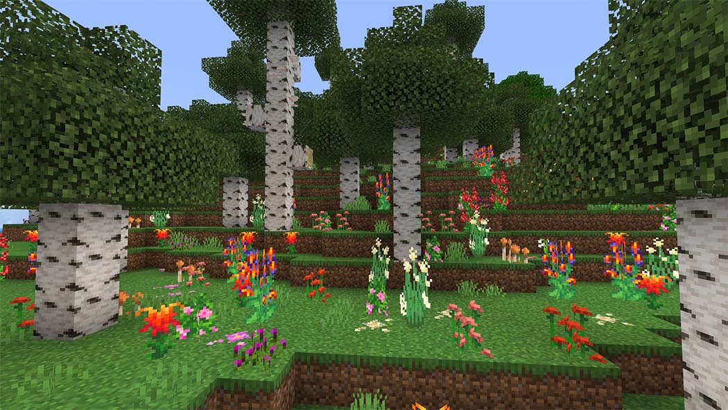 Biome Revamp - MCPE AddOns - Aadhu.com
